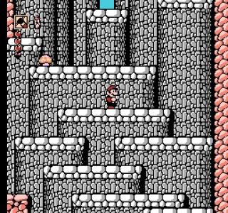 TGDB - Browse - Game - Super Mario 13